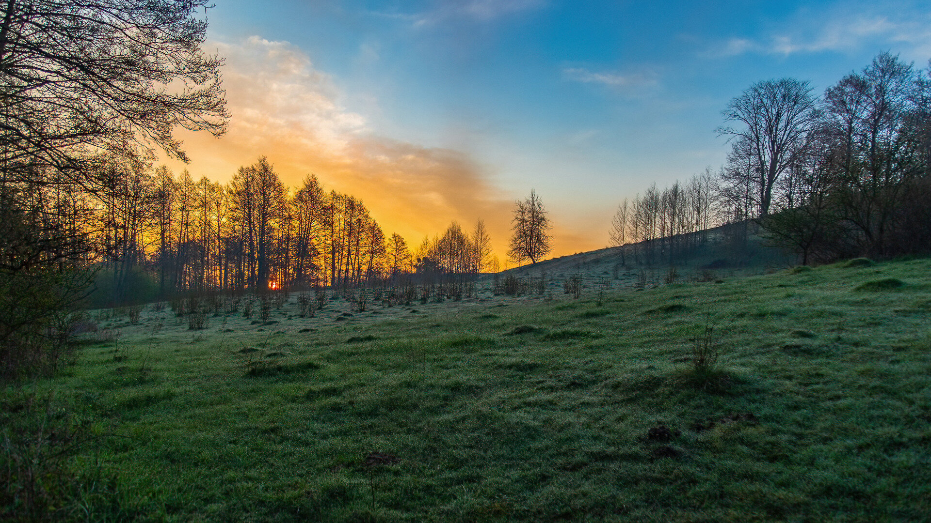 Mazurska przyroda - Mazury.holiday - Nowa jakość wypoczynku